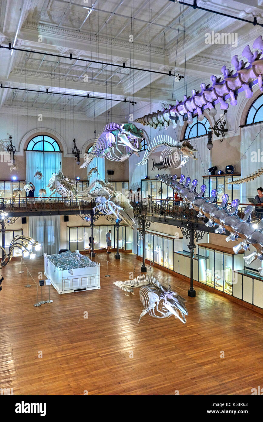 Baroque revival architecture hi-res stock photography and images - Alamy