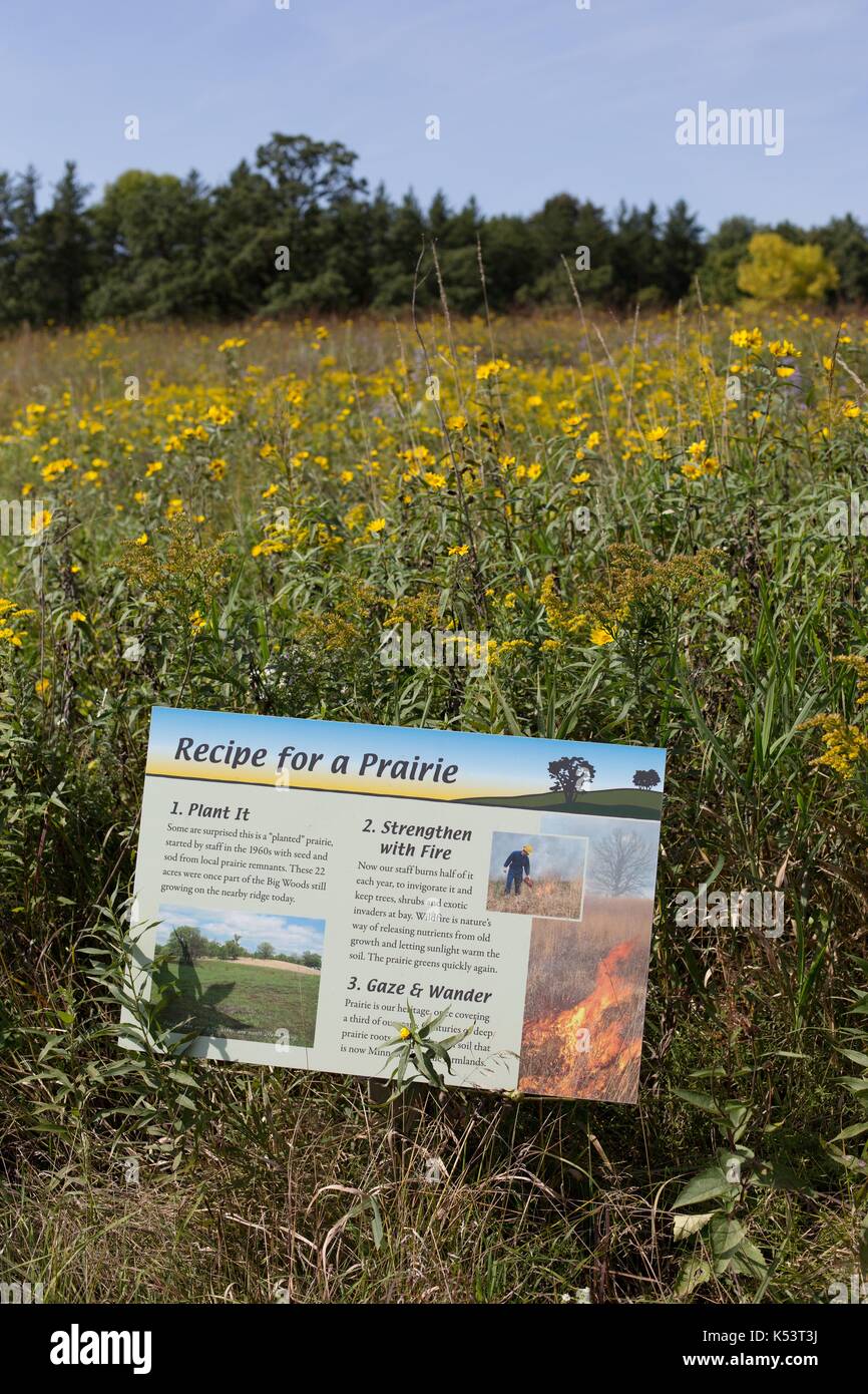 Minnesota wildflowers hi-res stock photography and images - Alamy