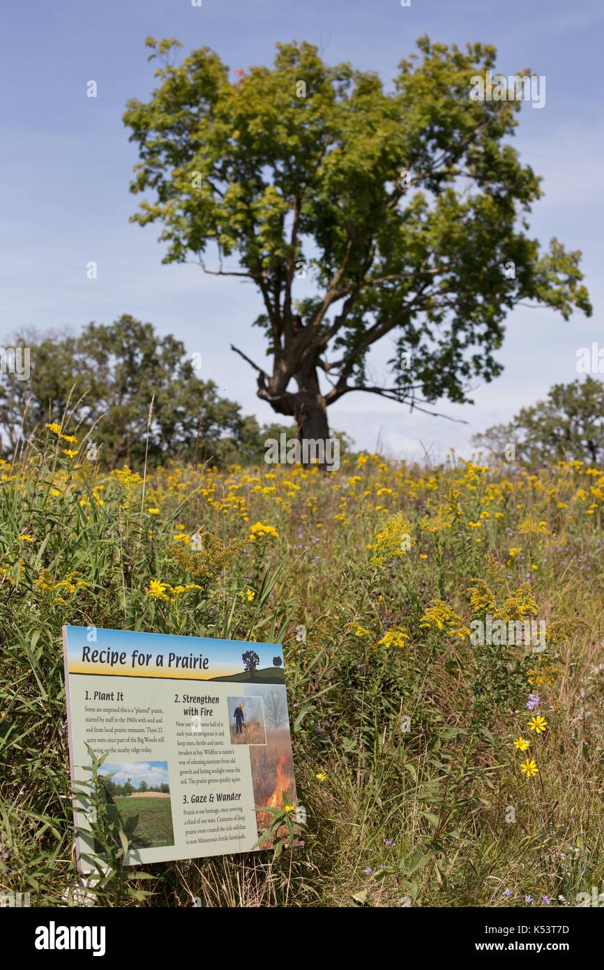 Minnesota wildflowers hi-res stock photography and images - Alamy