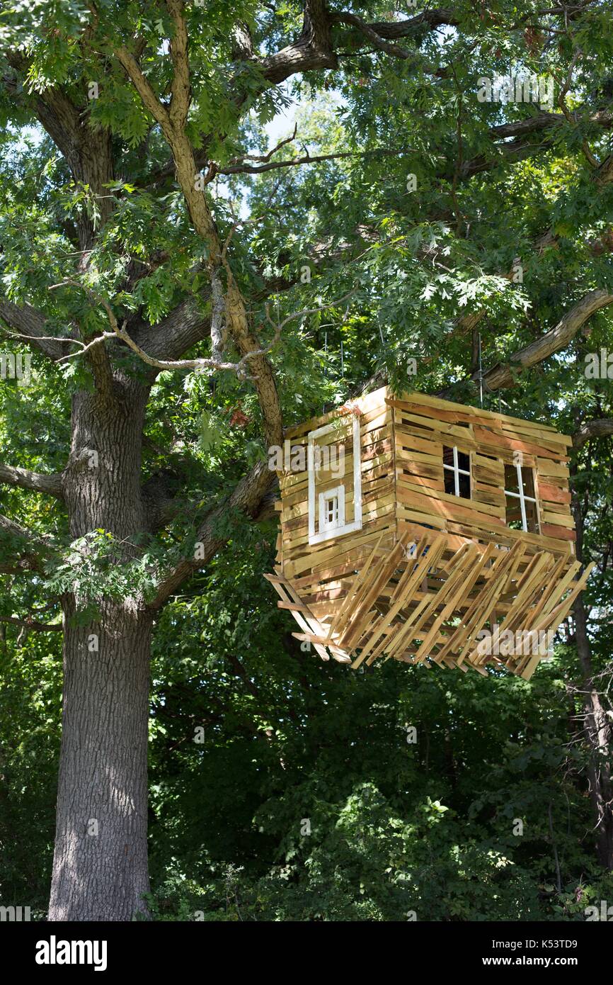 Upside down tree hi-res stock photography and images - Alamy