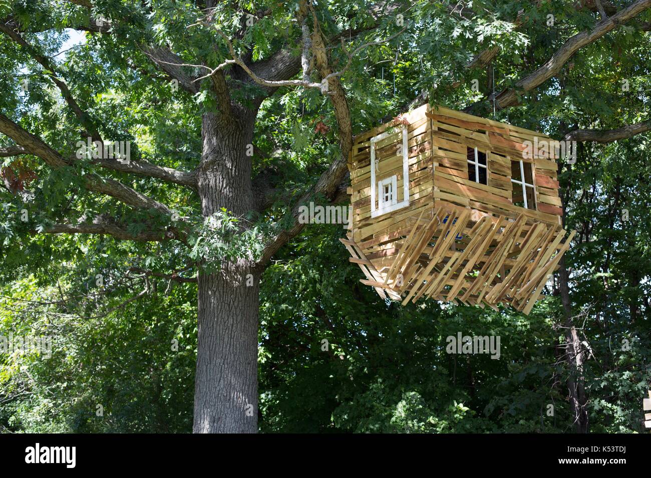 Upside down tree hi-res stock photography and images - Alamy