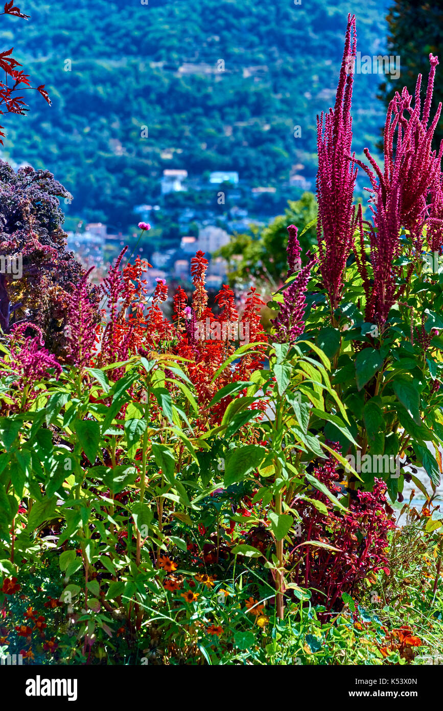 French Riviera FRN Stock Photo - Alamy