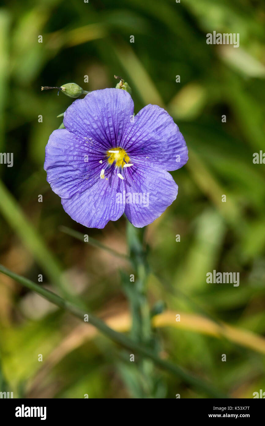 Lower lewis hi-res stock photography and images - Alamy