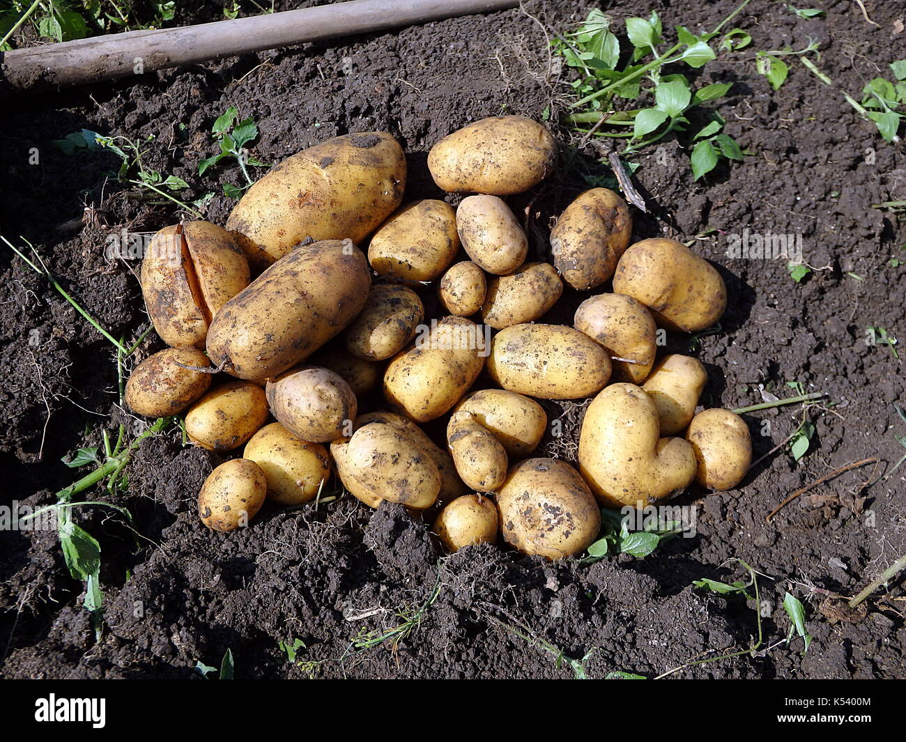 Pile of earth spade garden hi-res stock photography and images - Alamy