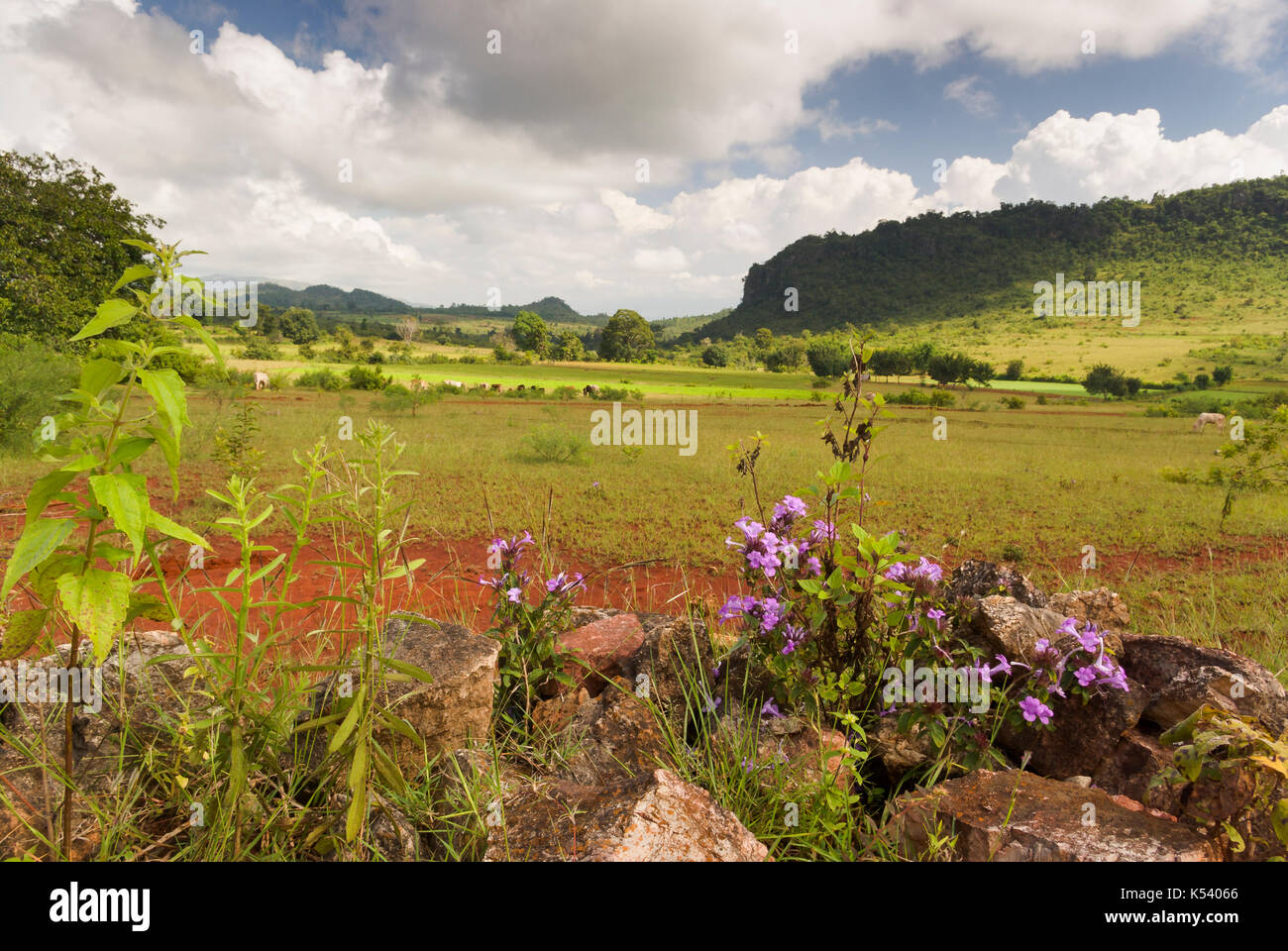 Landscape of farmland, Shan State, Burma, Myanmar, South East Asia ...