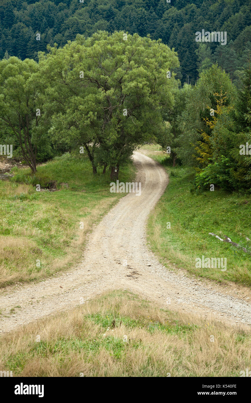 Rural road bifurcation hi-res stock photography and images - Alamy