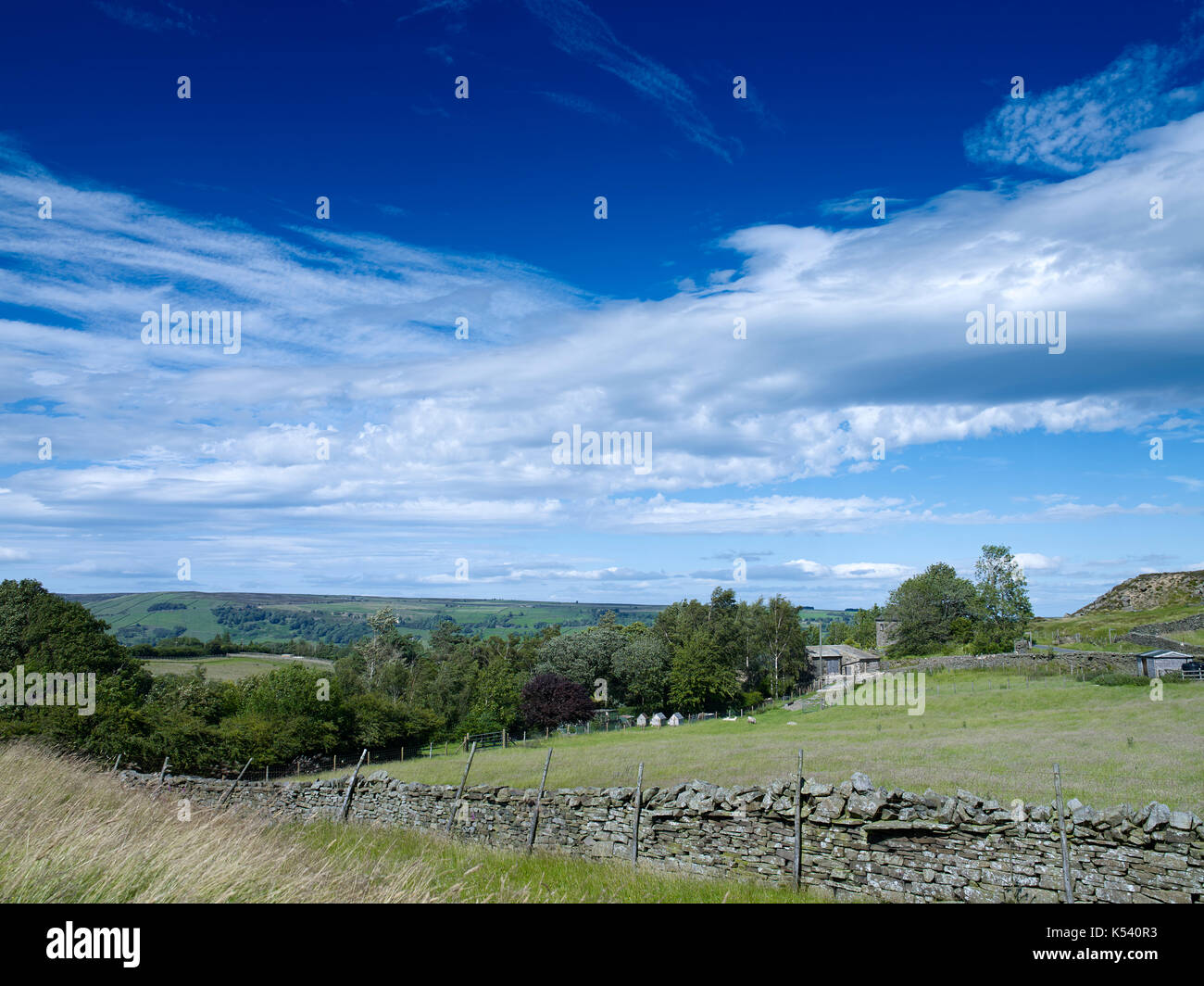 Sunny July moorland view looking east towards Pateley Bridge from ...