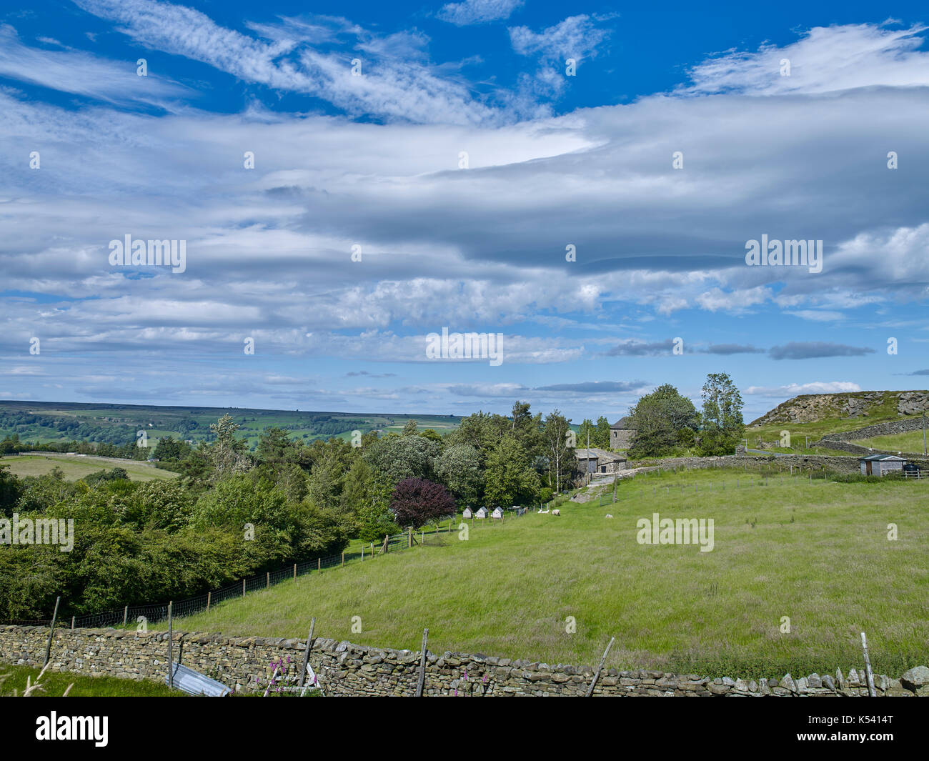 Sunny July moorland view looking east towards Pateley Bridge from ...