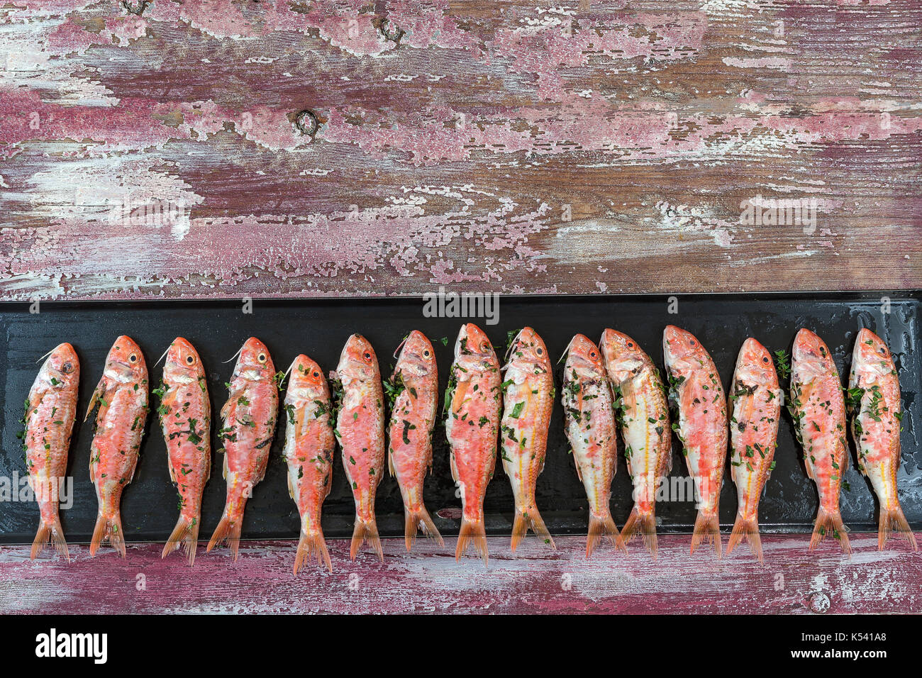 Plenty of red mullet fish ready to grill on placha barbecue on a pink ...