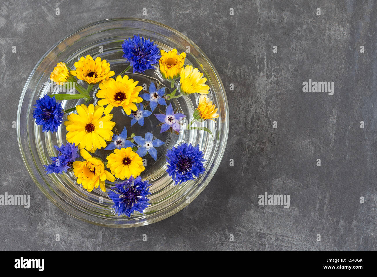 bowl with colorful flower petals floating on surface of water. flowers ...