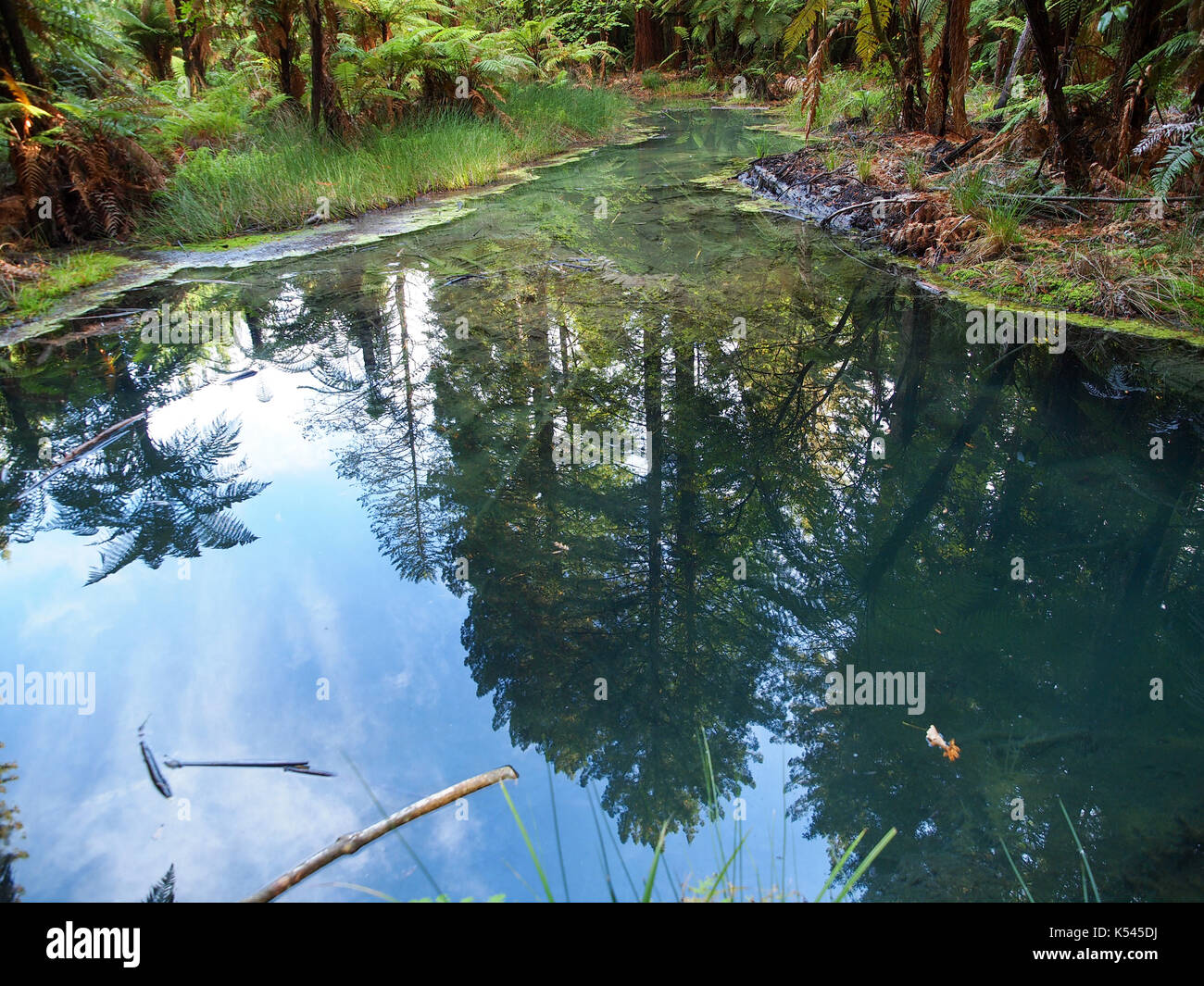 Greeny blue water hi-res stock photography and images - Alamy