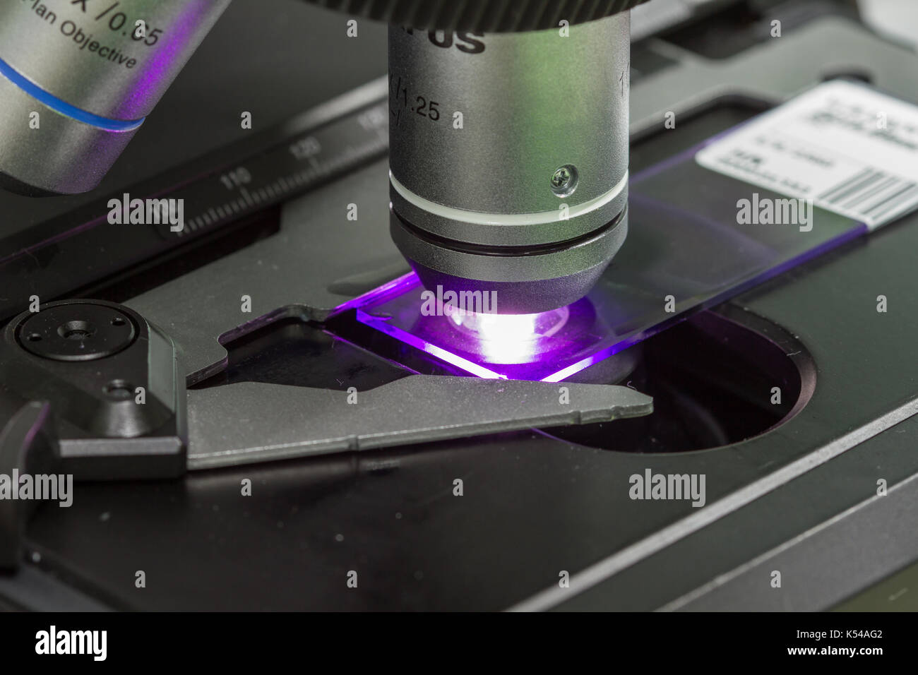 Laboratory findings hi-res stock photography and images - Alamy