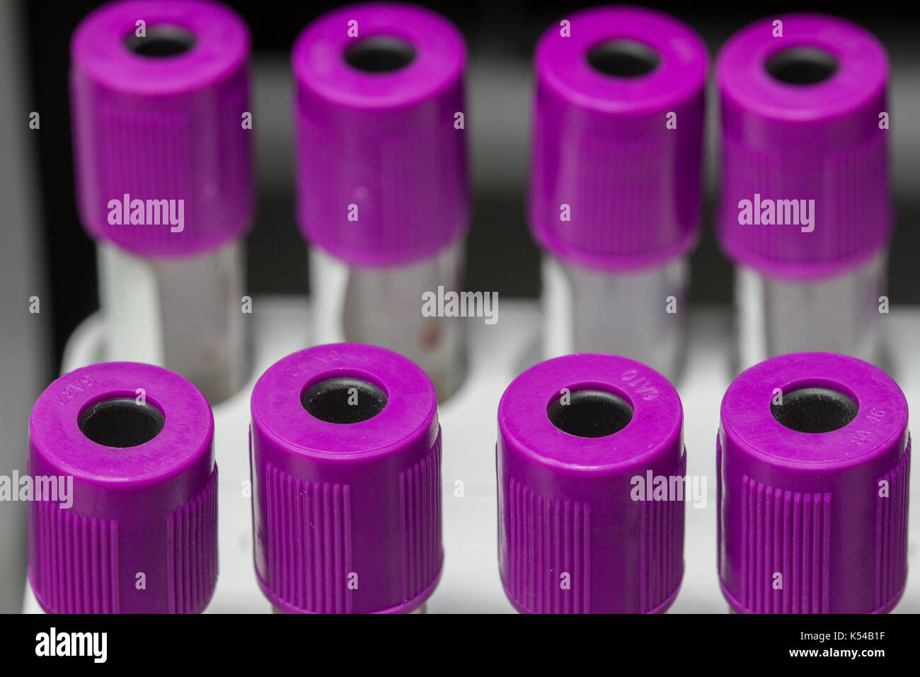 Closeup test tubes with blood for medical and biological analyzes ...