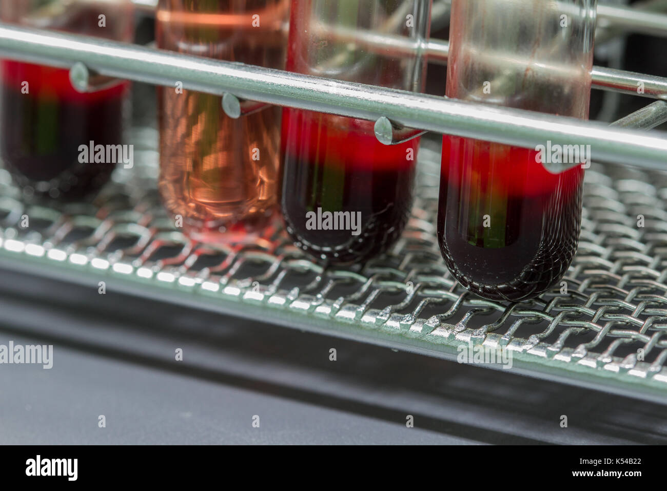 Closeup test tubes with blood for medical and biological analyzes ...