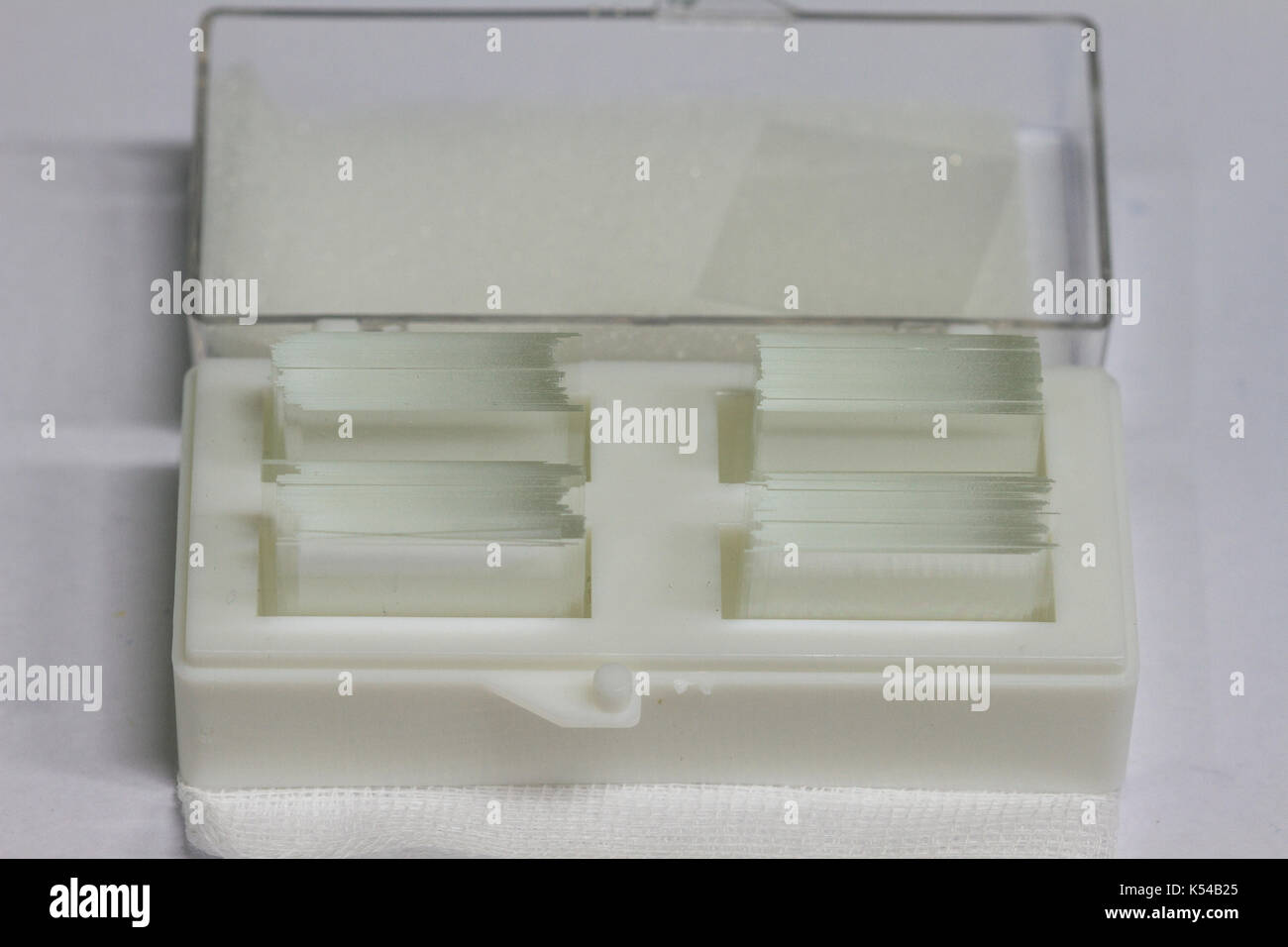 Peripheral blood smear hi-res stock photography and images - Alamy