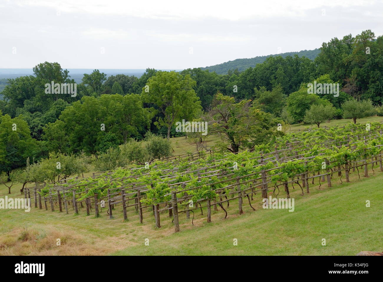 Grounds and gardens of Monticello, Thomas Jefferson's historic estate ...