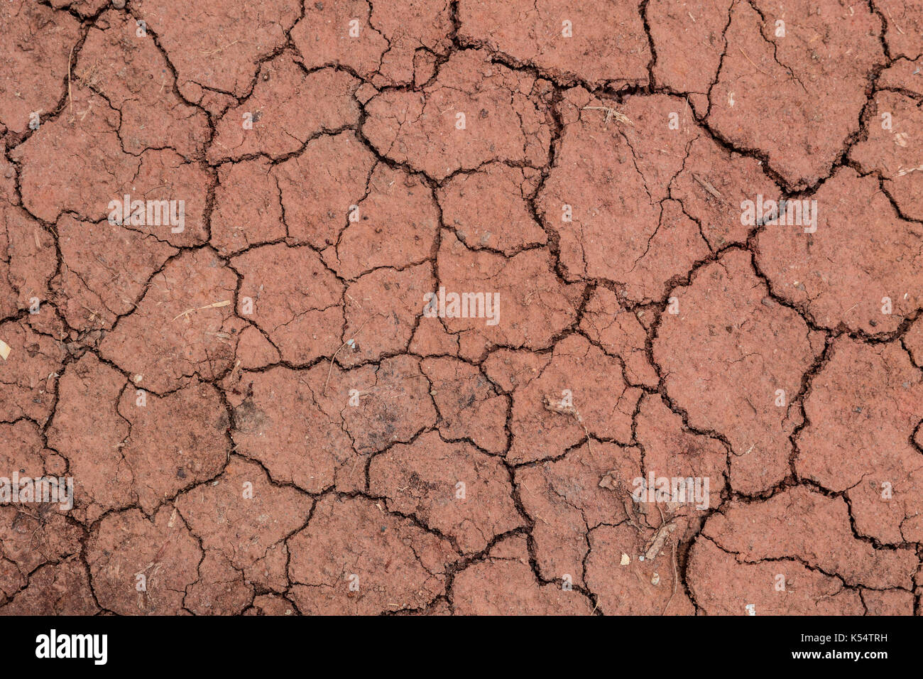 dried land crack soil Stock Photo - Alamy