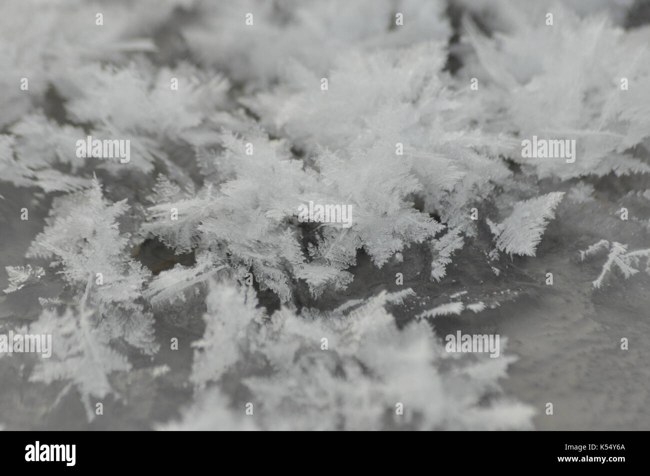 Streaks of snow. Snowflakes on the ice. Winter and frost. ice sheet ...