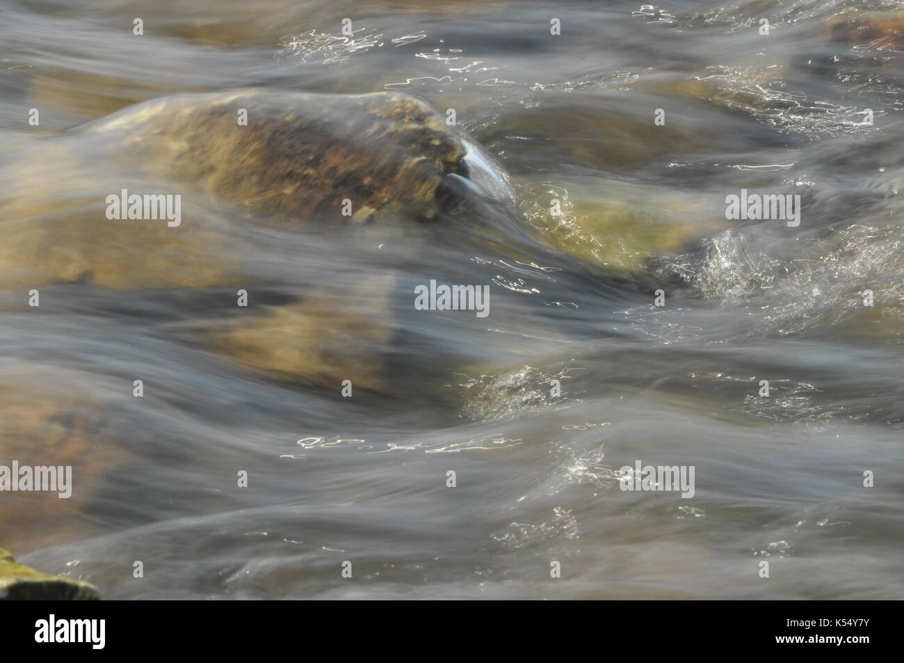 Stones in the river. Fast flowing water. Refreshing mountain river ...