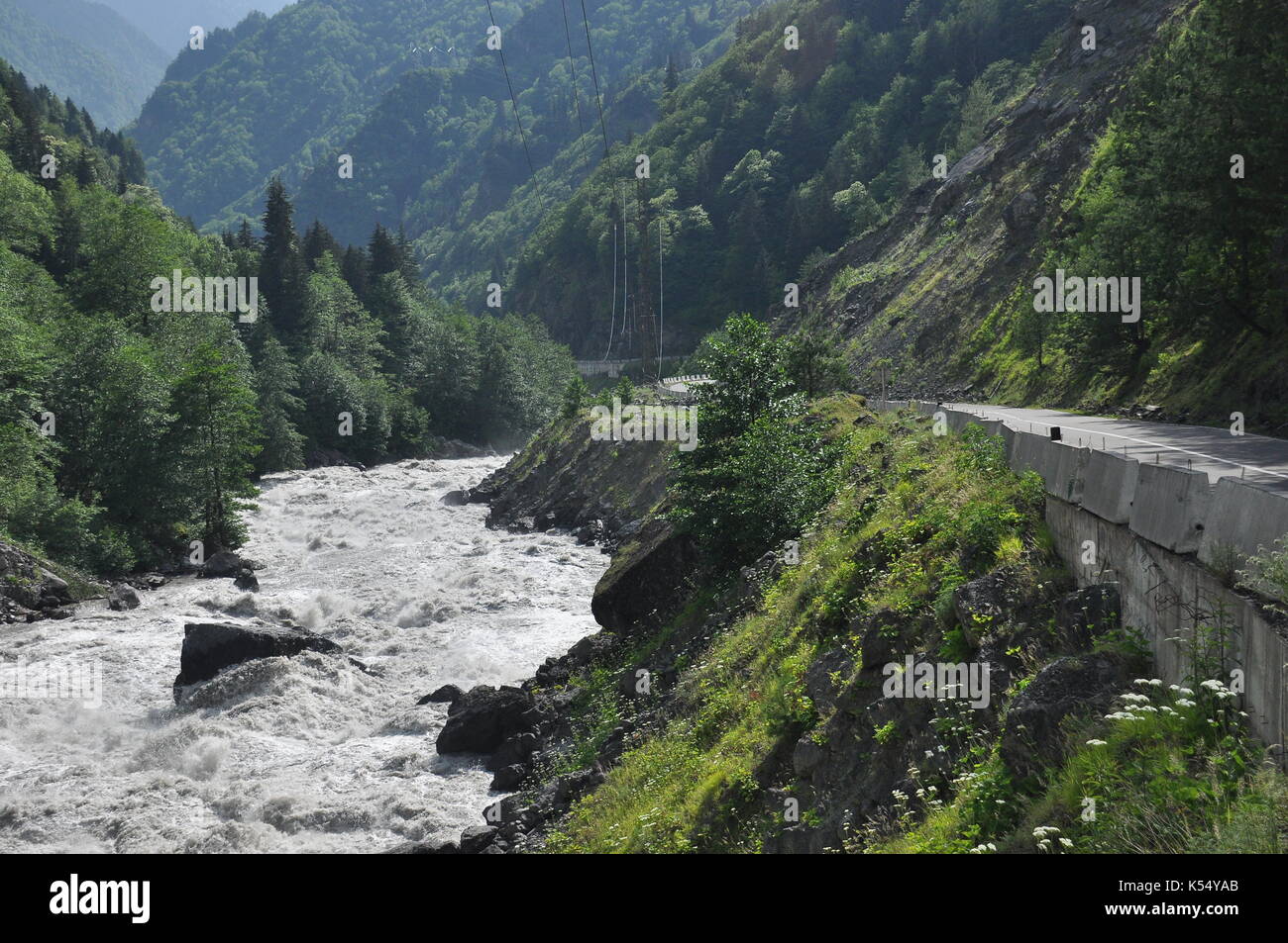 Flood trough trees hi-res stock photography and images - Alamy