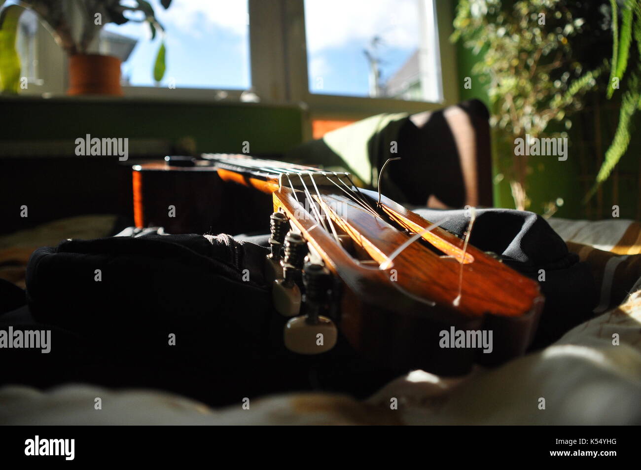 Classical guitar. Issuing a stringed instrument sounds. Fretboard ...