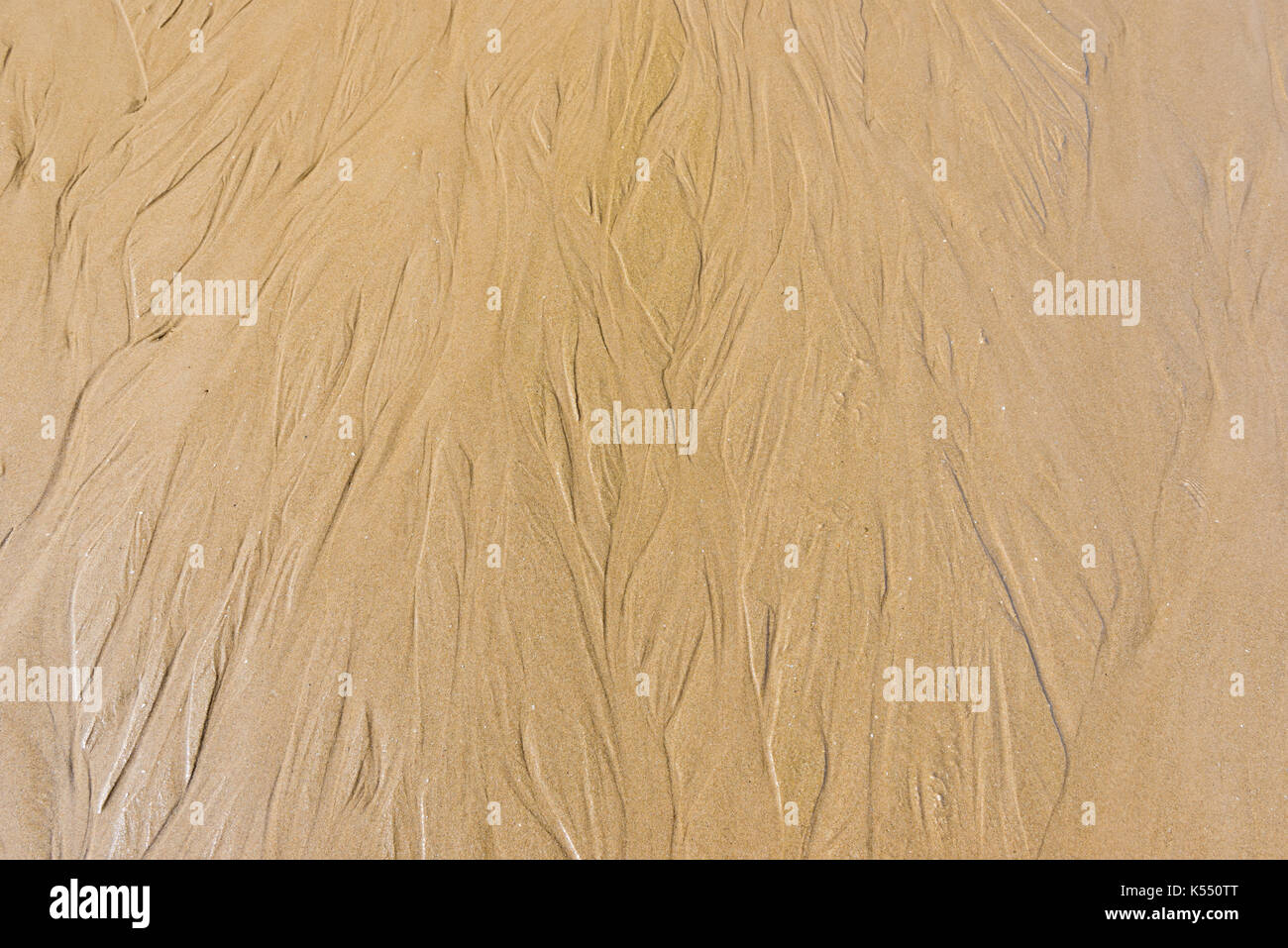 Wet sand texture in daylight Stock Photo - Alamy