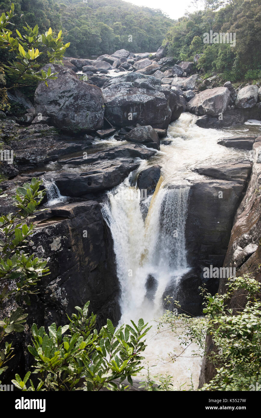 Madagascar rainforest landscape hi-res stock photography and images - Alamy
