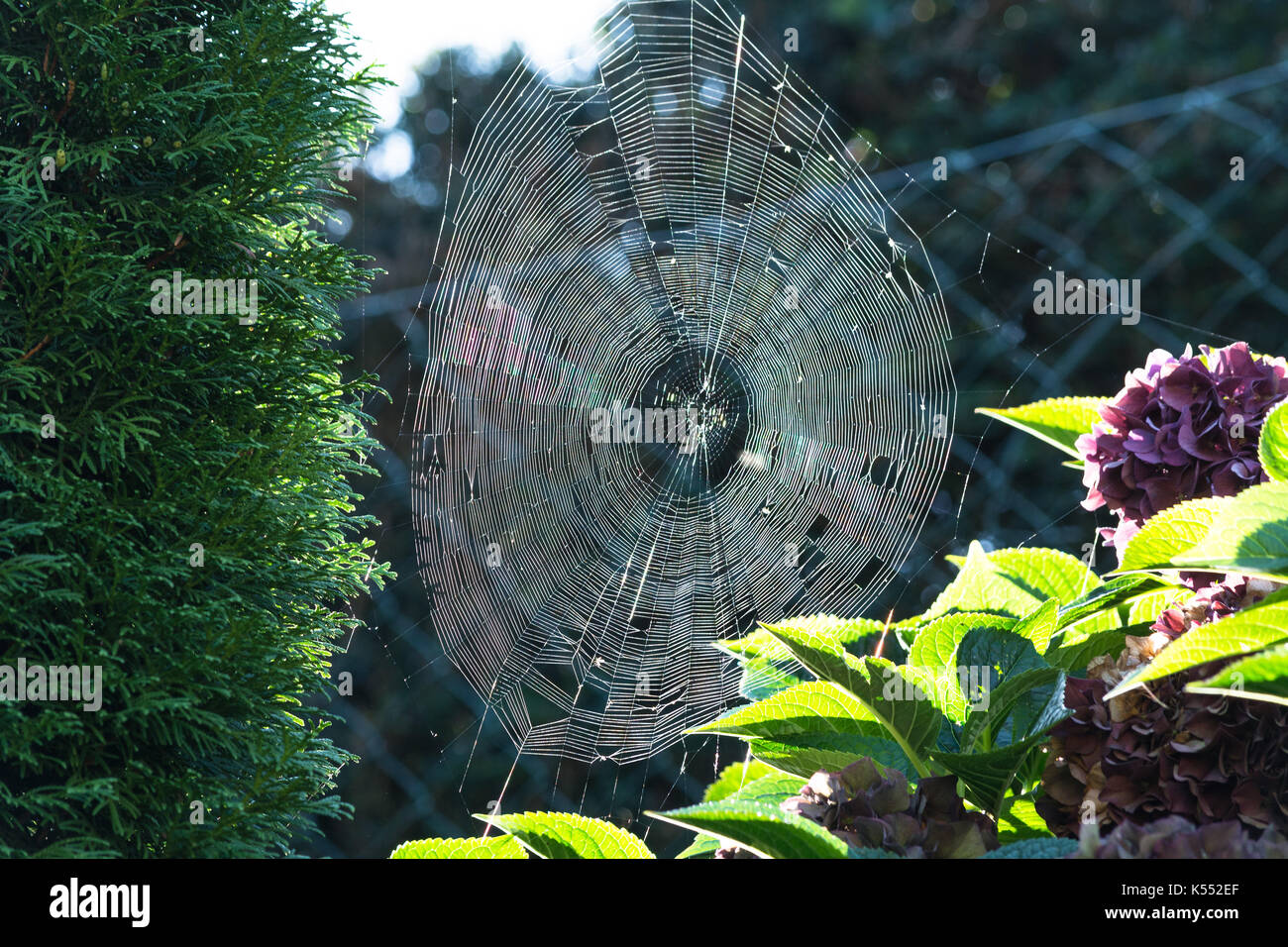 Wire mesh weaving hi-res stock photography and images - Alamy