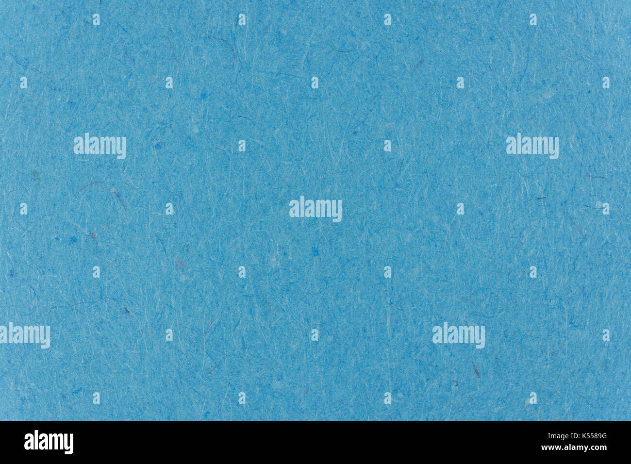 Blue jay color backdrop hi-res stock photography and images - Alamy