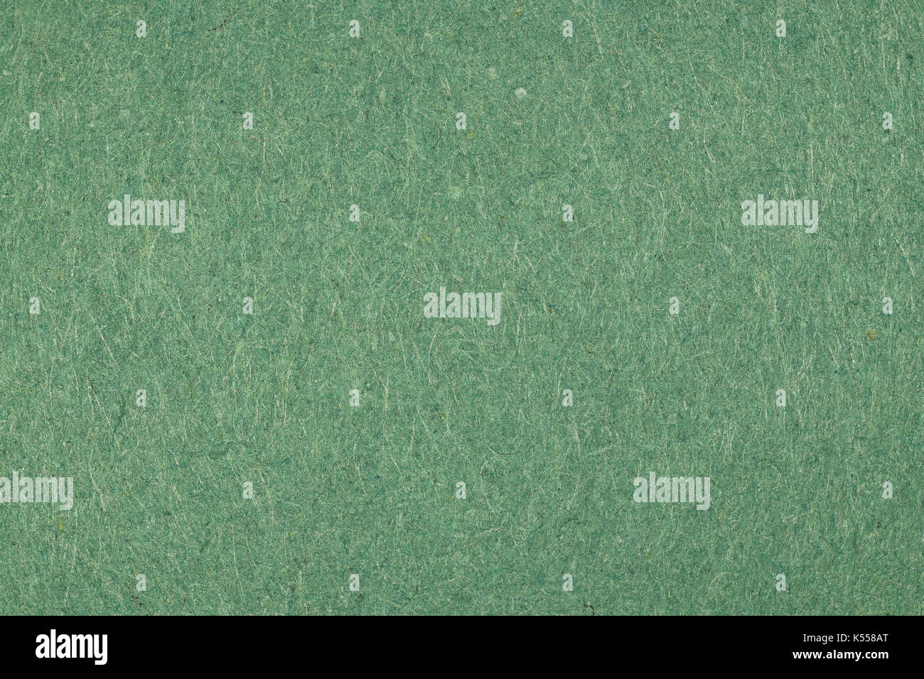 Evergreen Paper Background Texture Stock Photo - Alamy