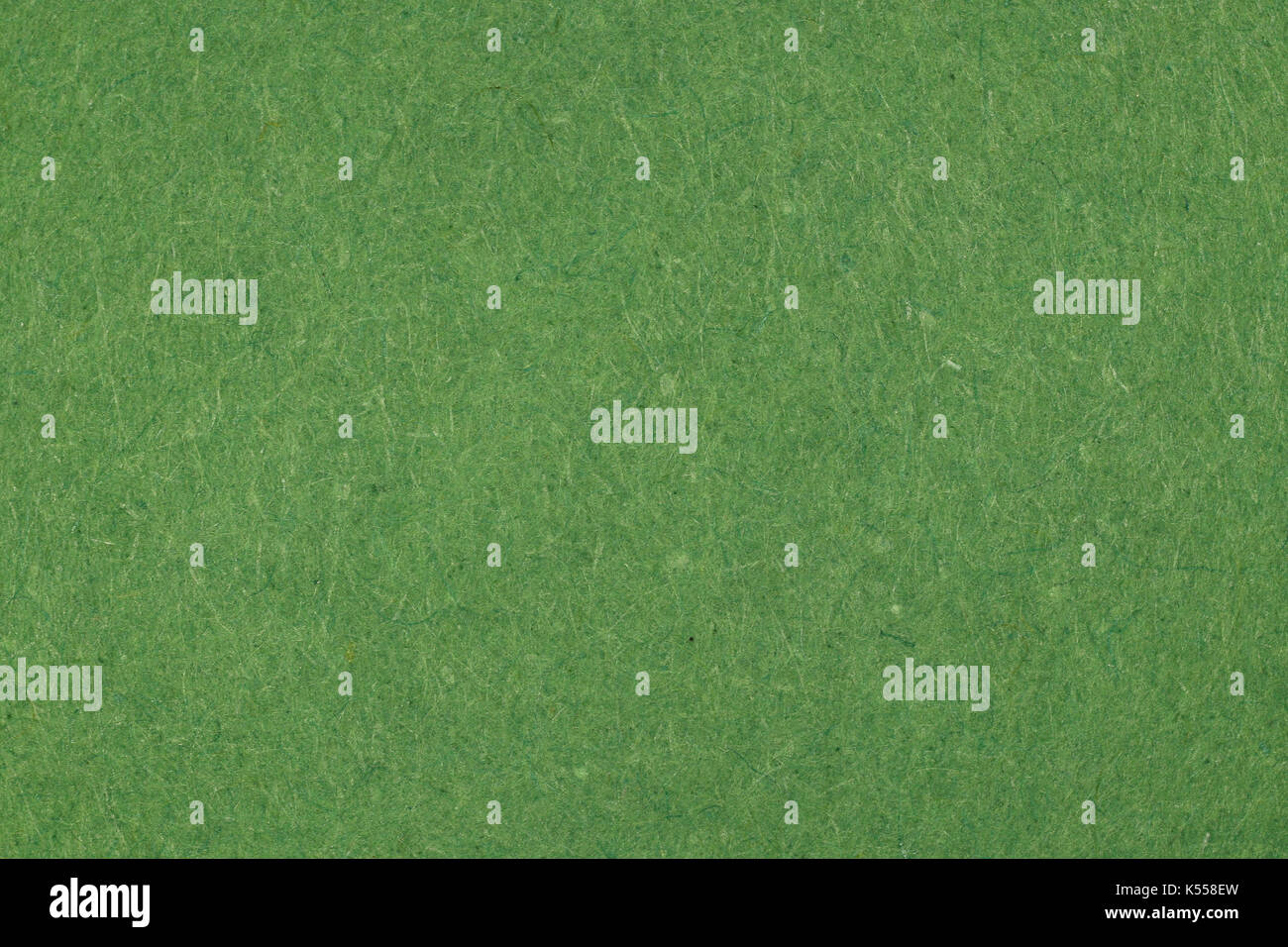 Texture holly hi-res stock photography and images - Alamy