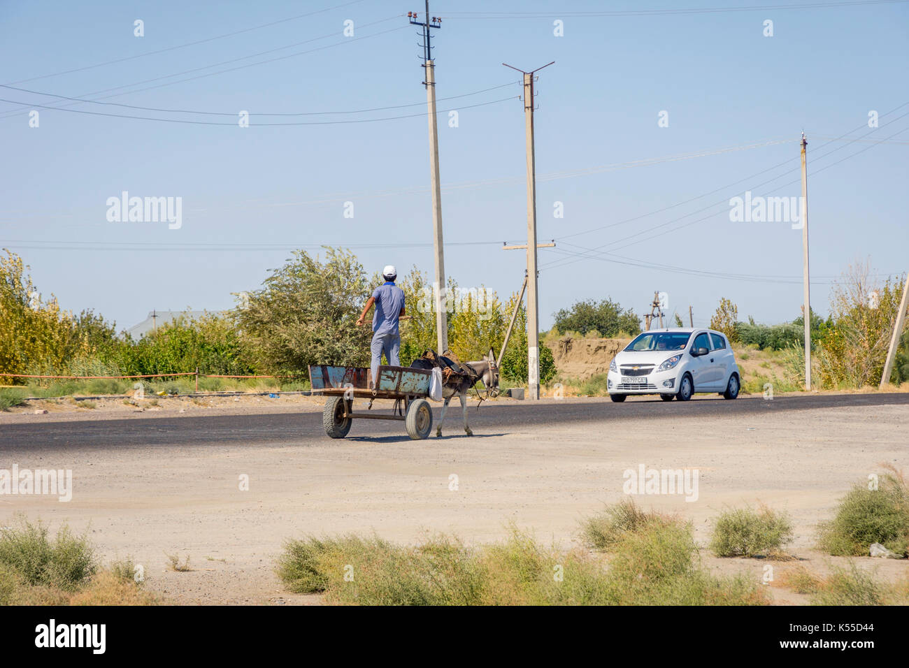 Donkey carriage hi-res stock photography and images - Alamy