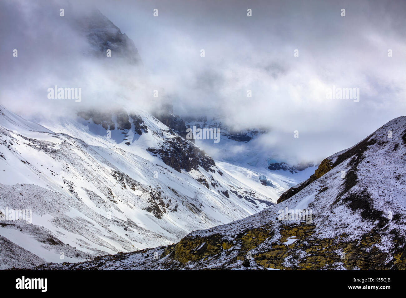 Columbia Icefields in Jasper National Park, Canada Stock Photo - Alamy