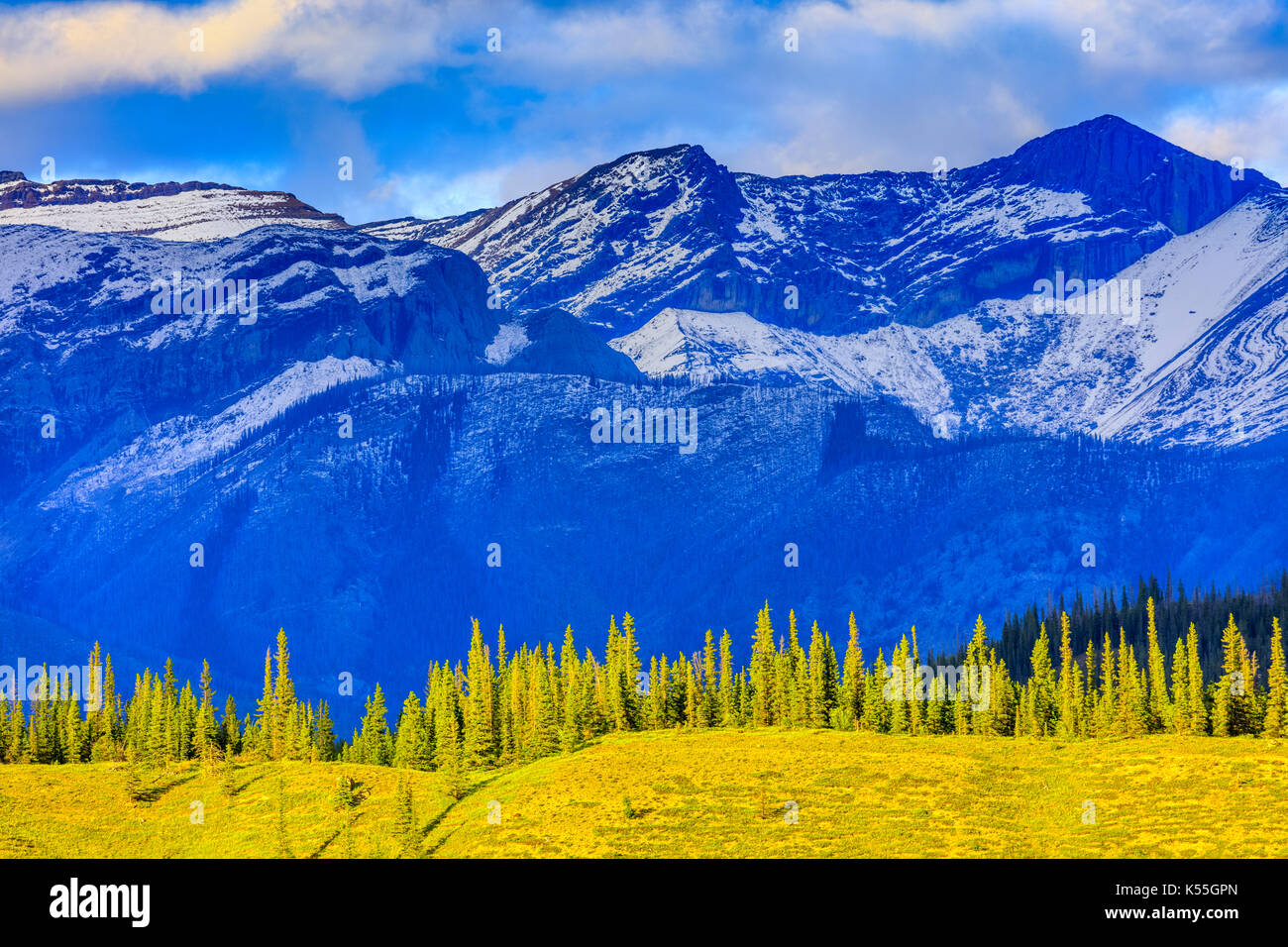 Miette Range in Jasper National Park, Canada Stock Photo - Alamy