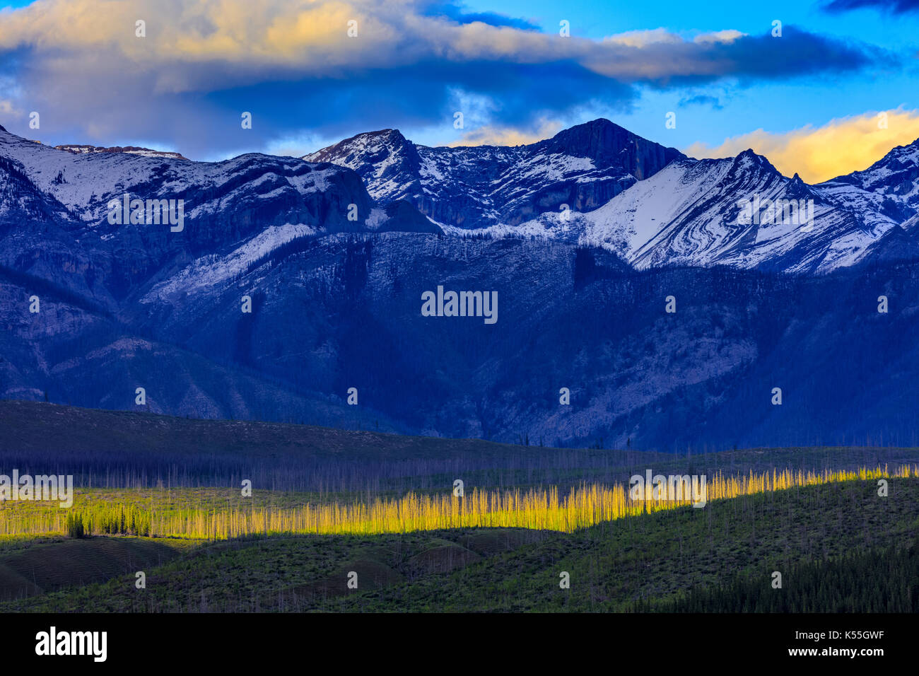 Miette Range in Jasper National Park, Canada Stock Photo - Alamy