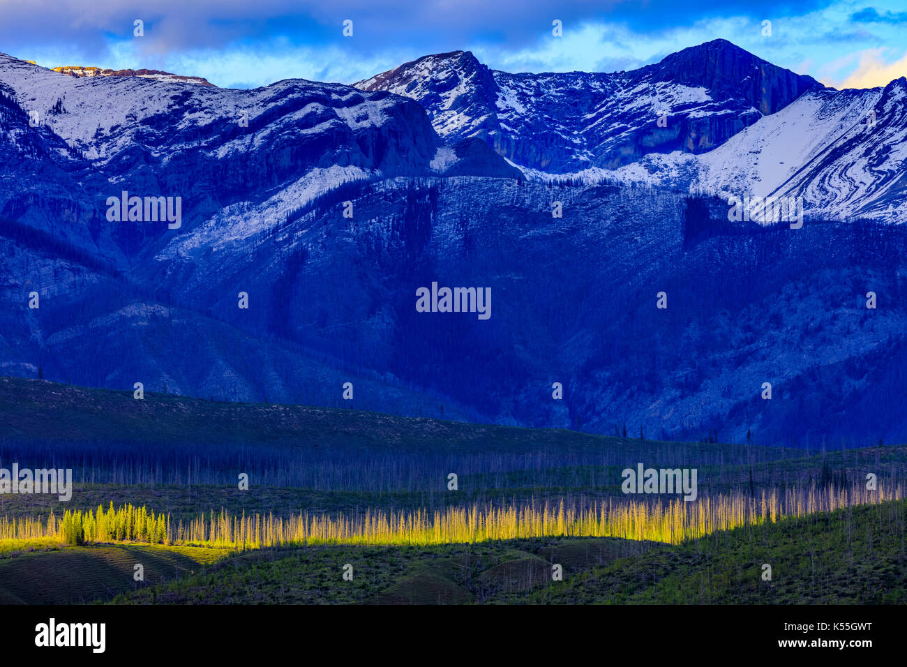 Miette range hi-res stock photography and images - Alamy