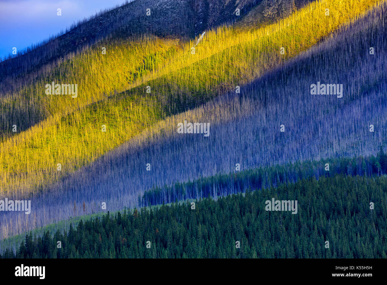 Miette Range in Jasper National Park, Canada Stock Photo - Alamy