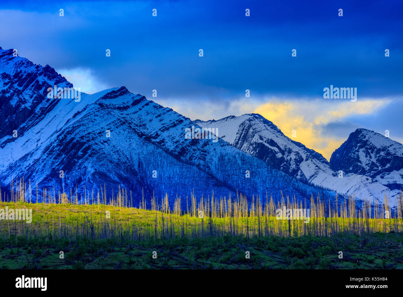 Miette Range in Jasper National Park, Canada Stock Photo - Alamy
