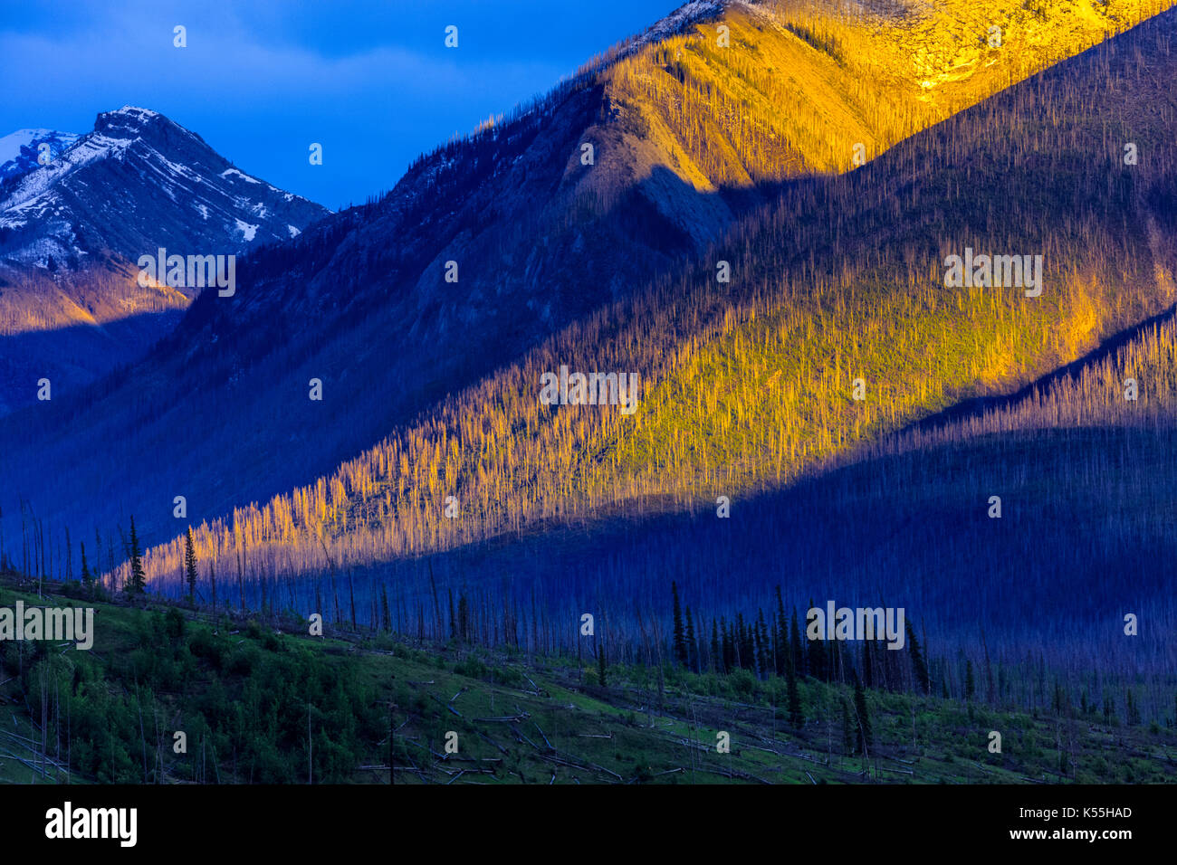 Miette Range in Jasper National Park, Canada Stock Photo - Alamy