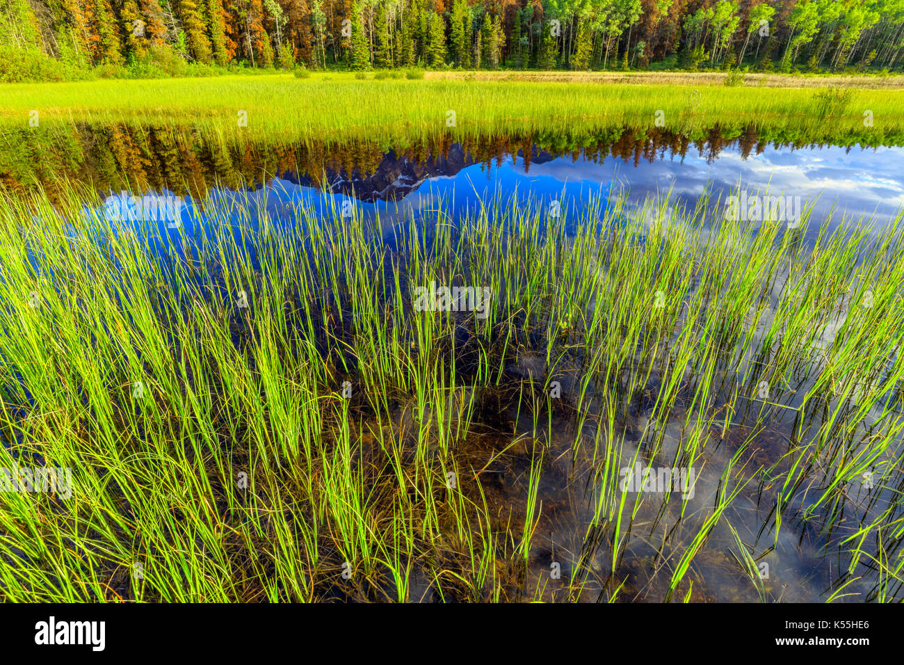Pond and marsh in Victoria Cross Range with reflection of Pyramid ...
