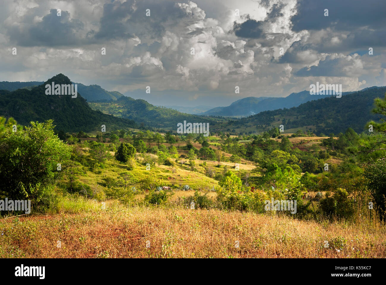 Landscape of farmland, Shan State, Burma, Myanmar, South East Asia ...