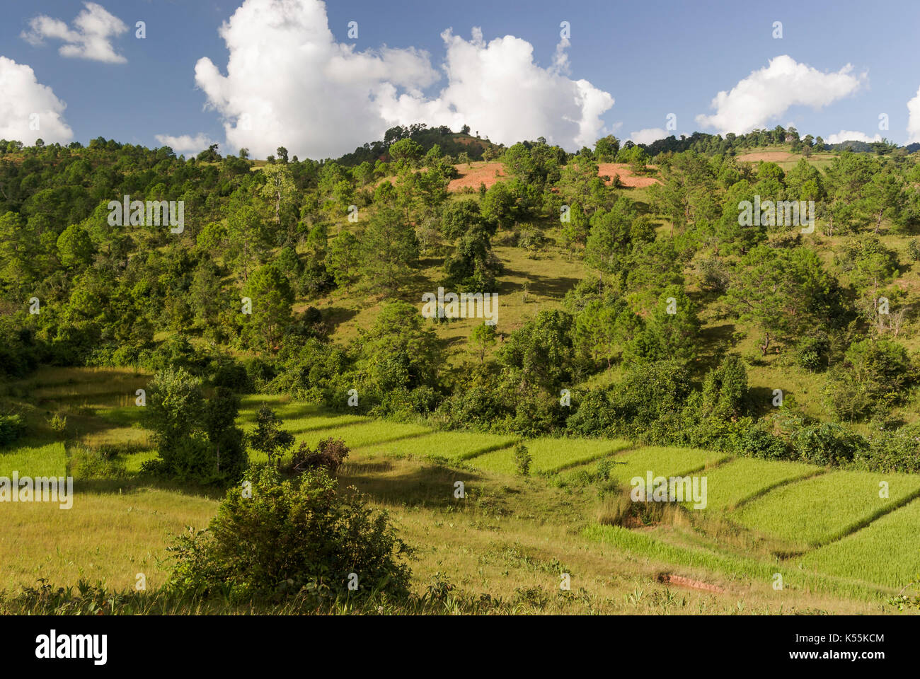 Landscape of farmland, Shan State, Burma, Myanmar, South East Asia ...