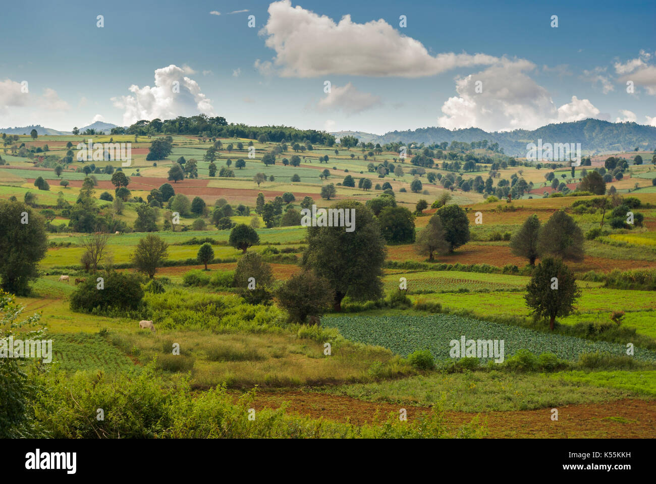 Landscape of farmland, Shan State, Burma, Myanmar, South East Asia ...