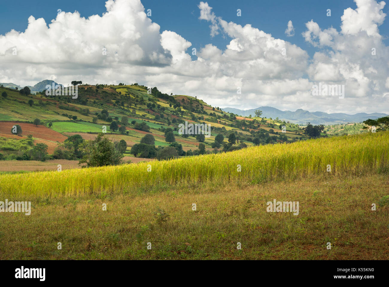 Landscape of farmland, Shan State, Burma, Myanmar, South East Asia ...