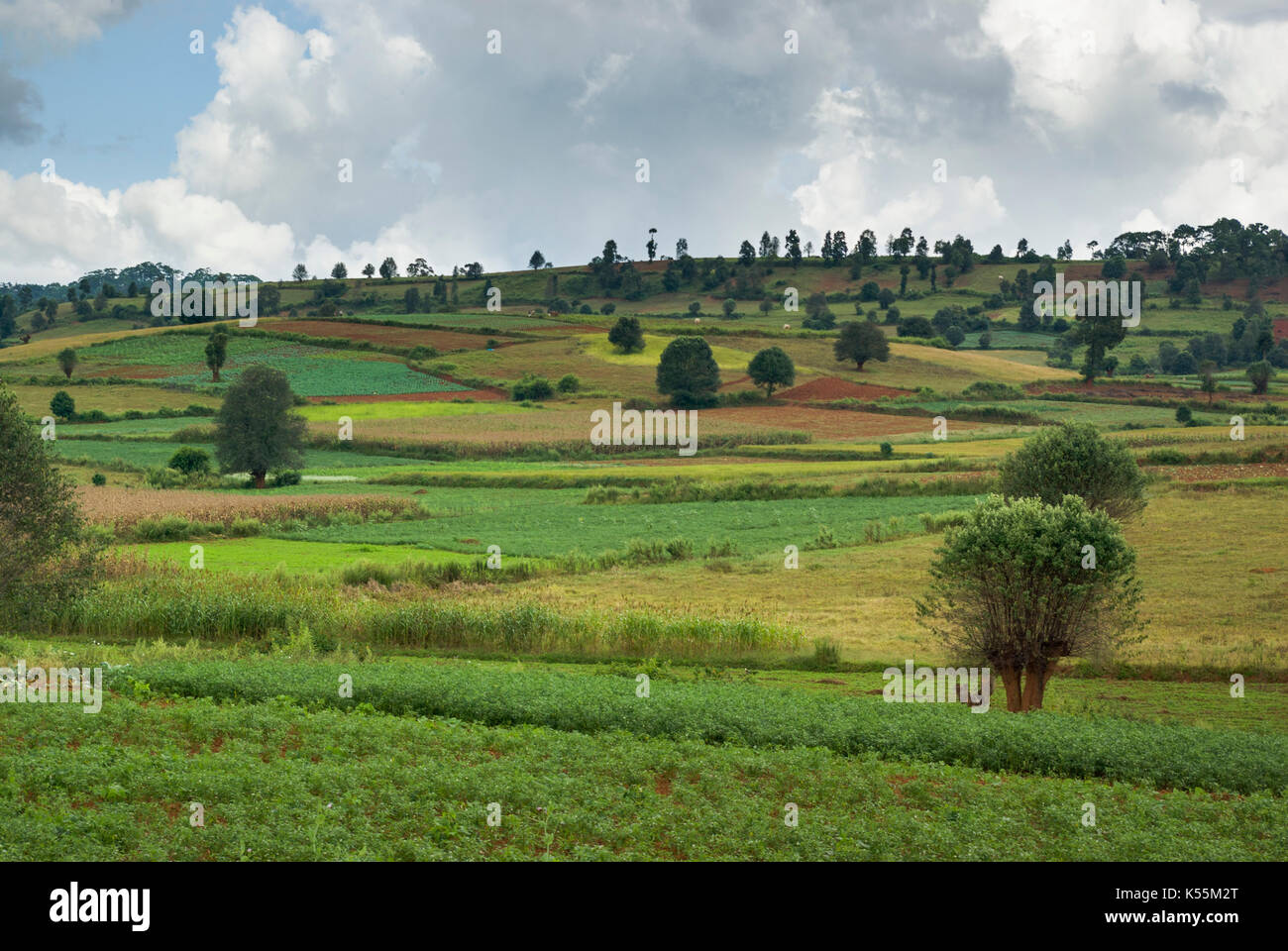 Myanmar trek hi-res stock photography and images - Alamy