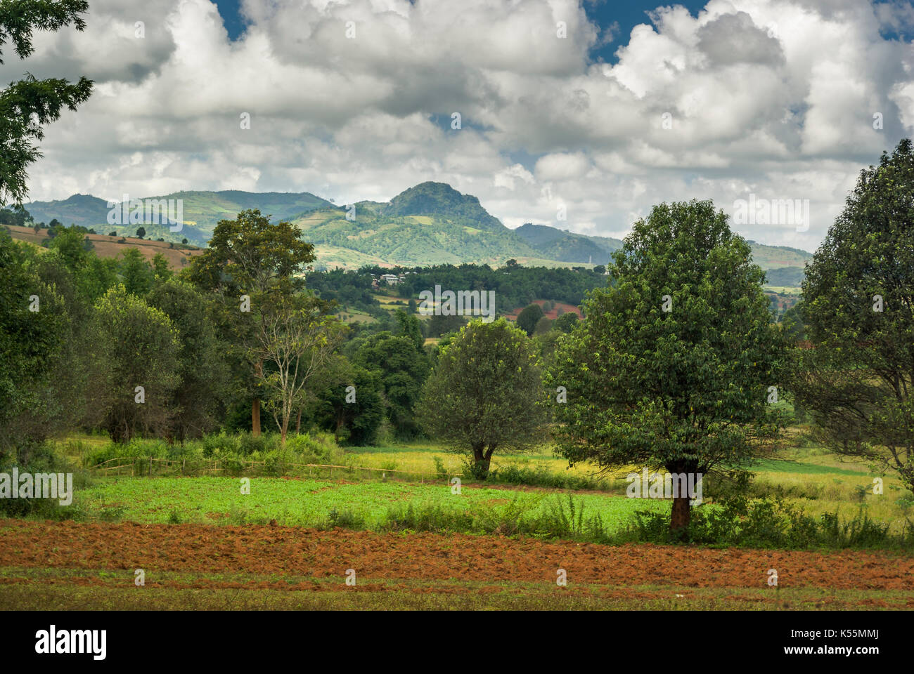 Landscape of farmland, Shan State, Burma, Myanmar, South East Asia ...