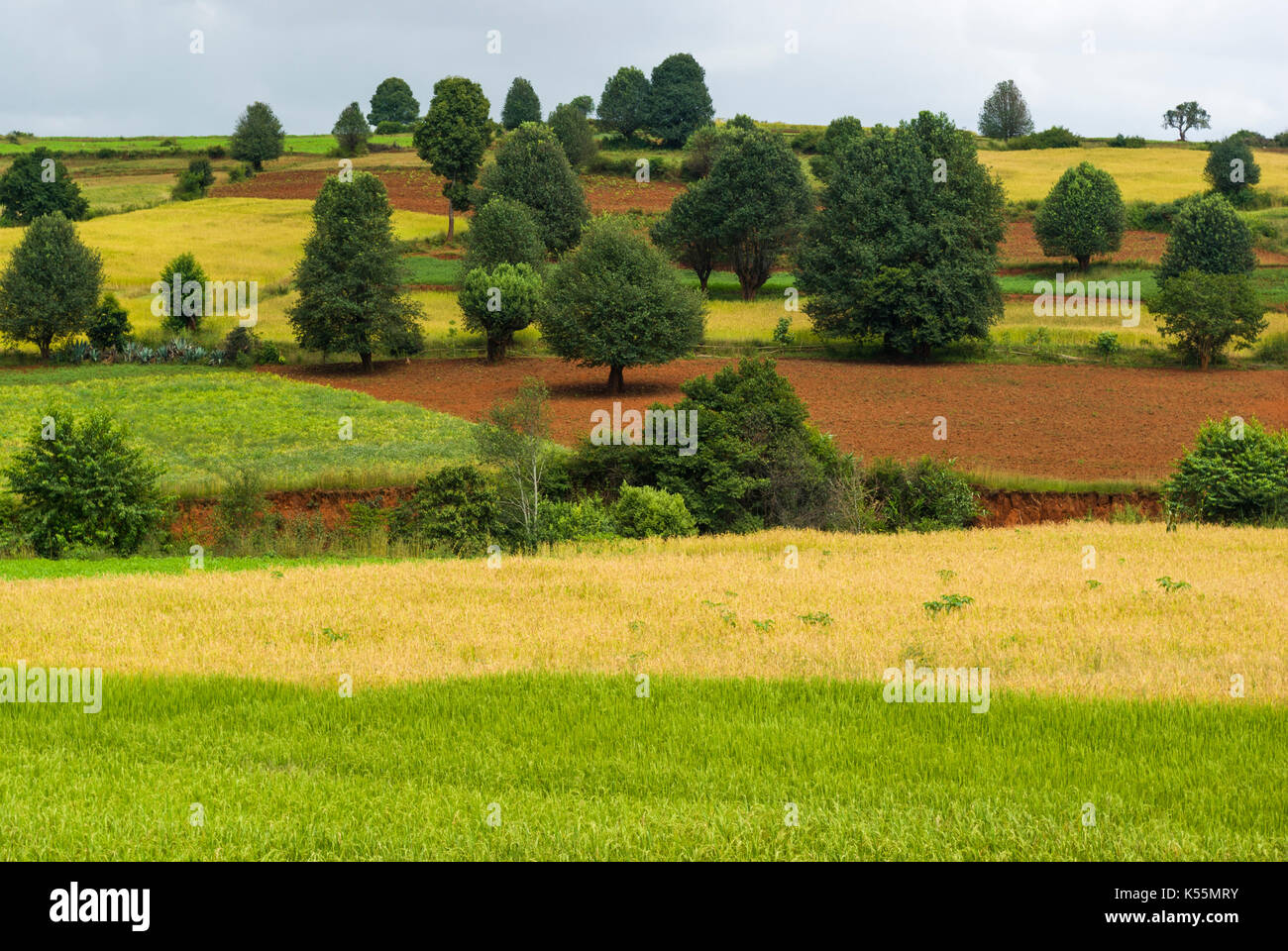 Landscape of farmland, Shan State, Burma, Myanmar, South East Asia ...