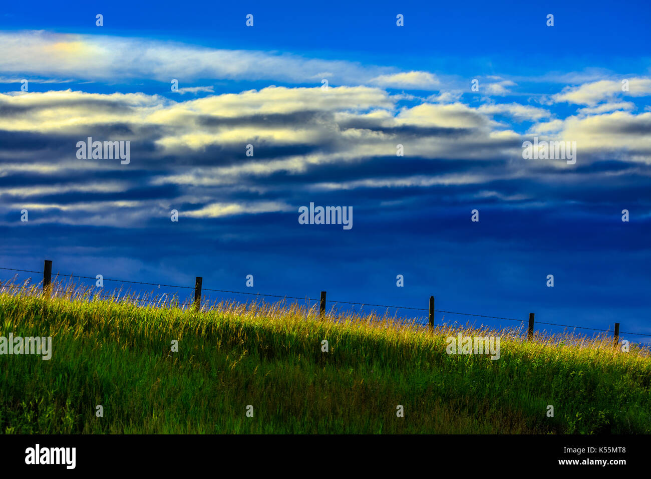 Agriculture in Alberta, Canada Stock Photo - Alamy