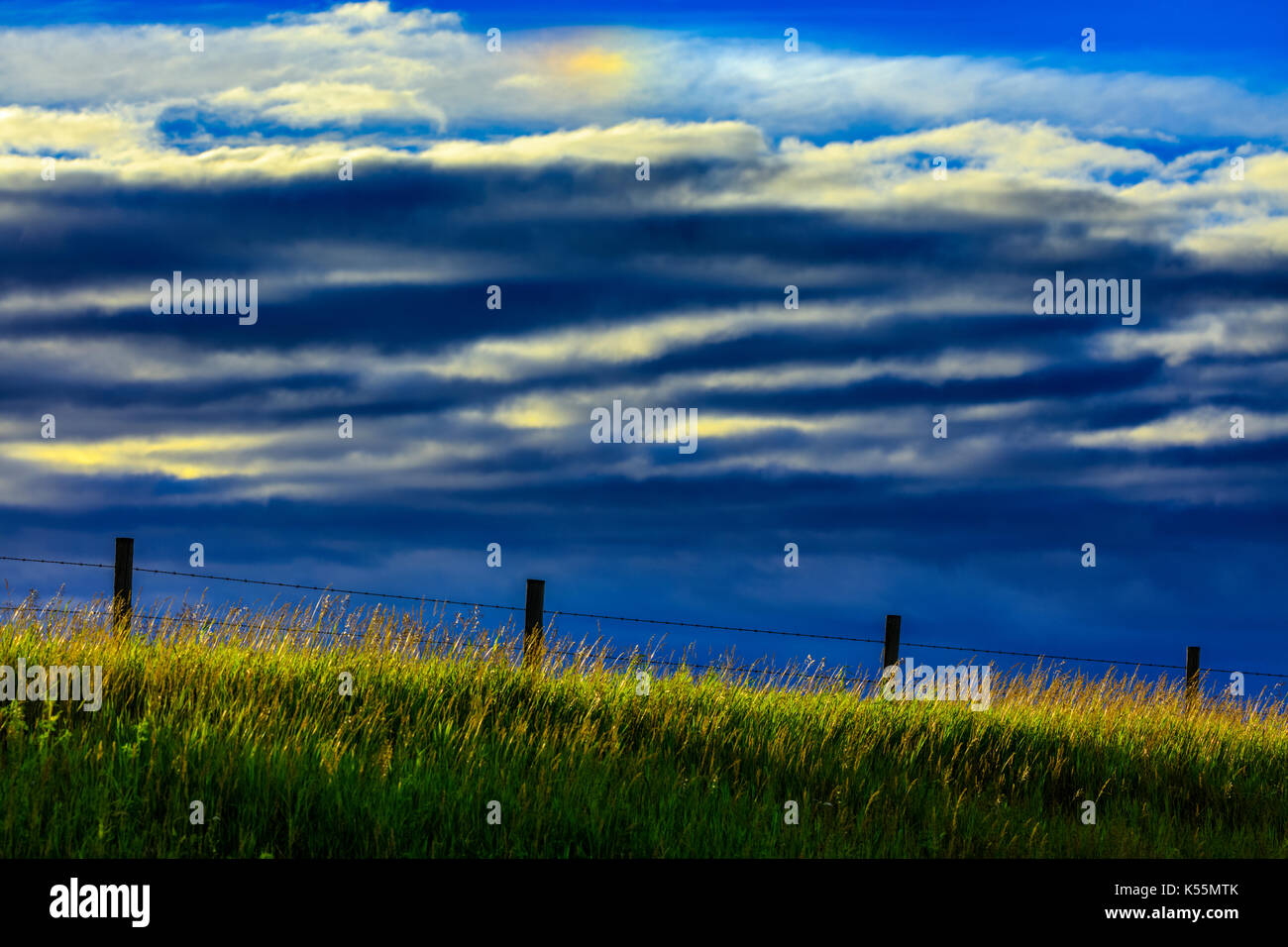 Agriculture in Alberta, Canada Stock Photo - Alamy