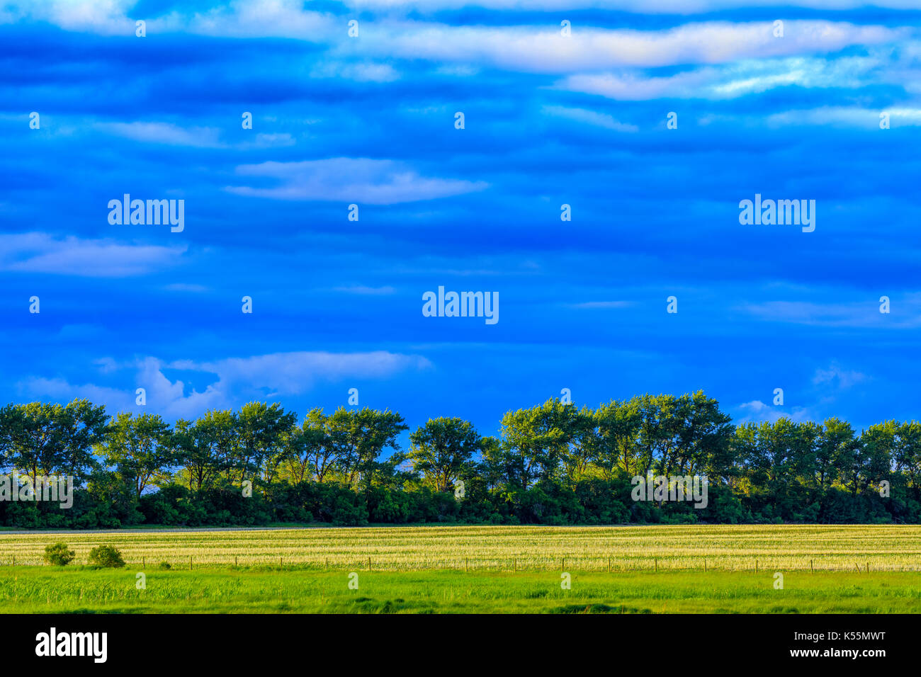 Agriculture in Alberta, Canada Stock Photo - Alamy